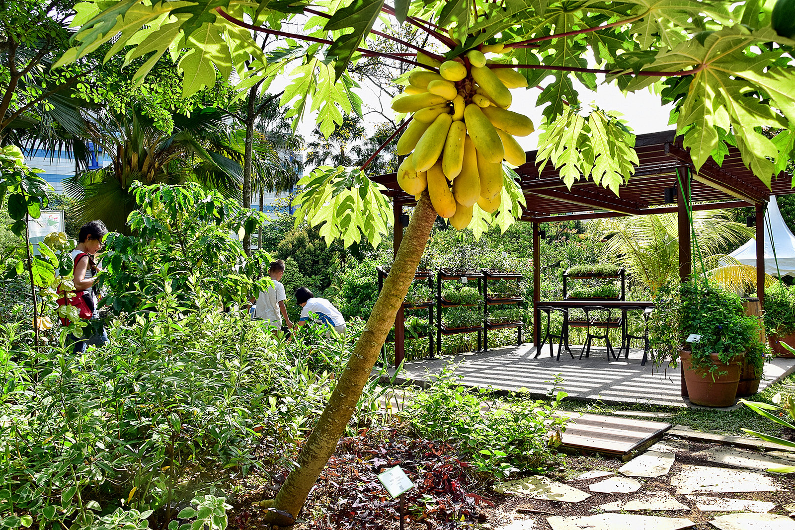 Dementia Enabling Environments in Singapore - World Young Leaders in ...
